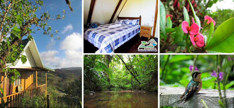 alojamiento_colinas-verdes_zapotal_turismo-rural_costa-rica - Pura Vida ...