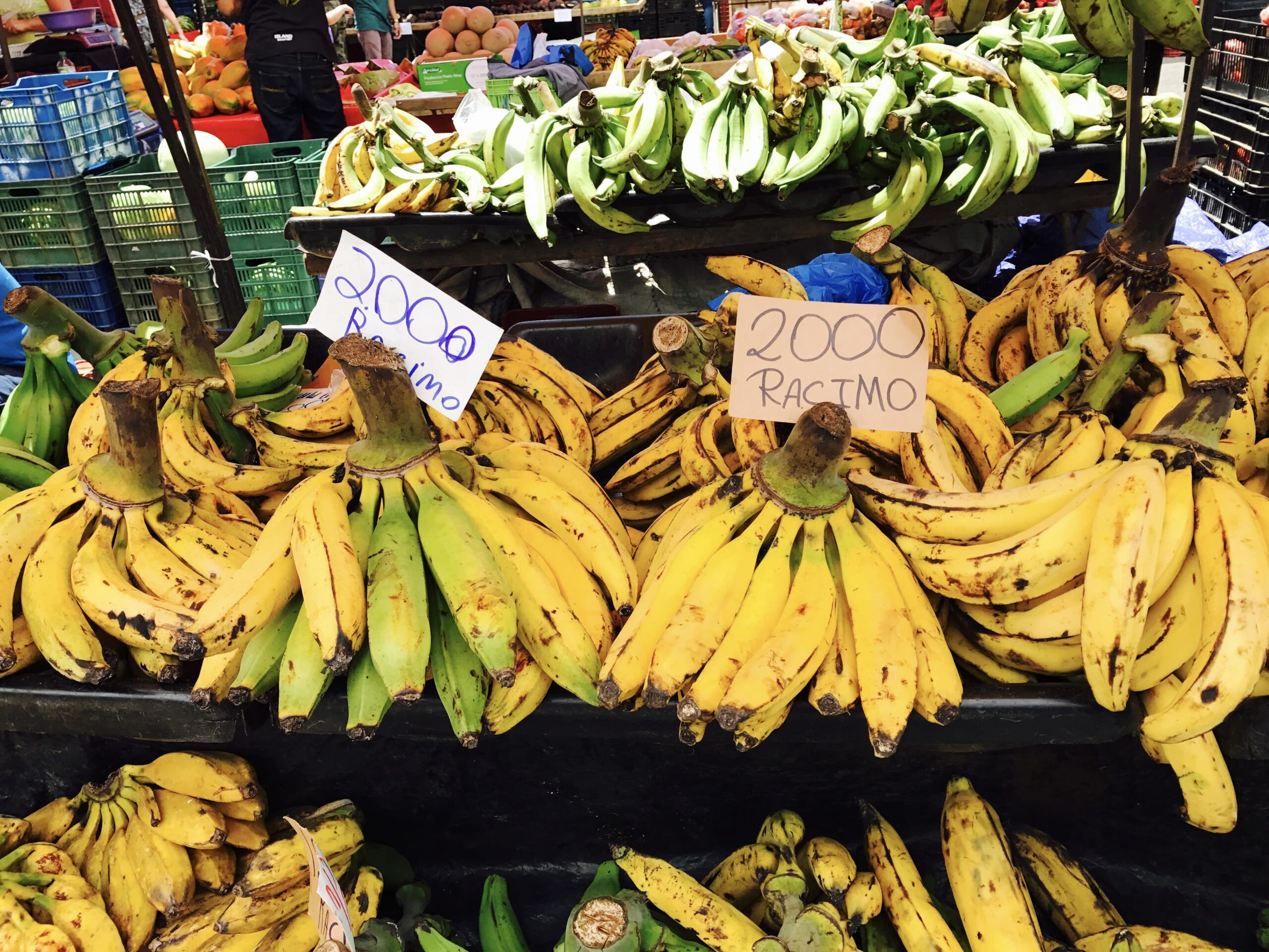 bananas fresh market-min - Pura Vida University. Turismo de Costa Rica